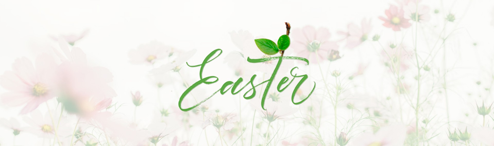 Easter | Billy Graham Evangelistic Association
